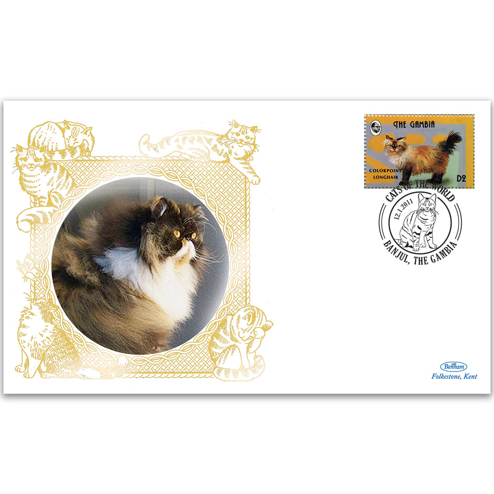 2011 Gambia - Colorpoint Longhair